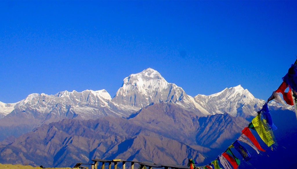Ghorepani Poonhill Trek Distance | Day to Day Distance and Elevation Guide